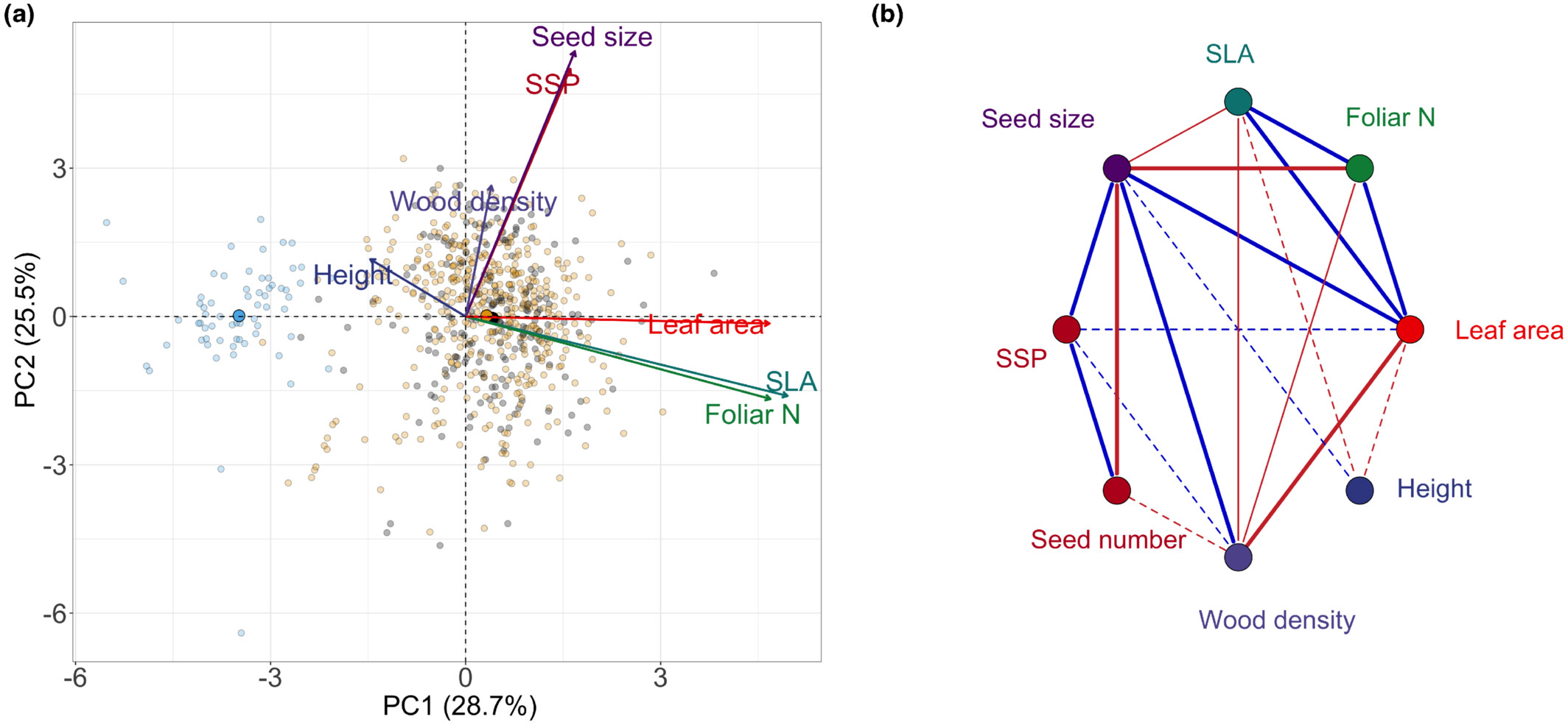 Linking seed size and number to trait syndromes in trees | Qiu lab at ...